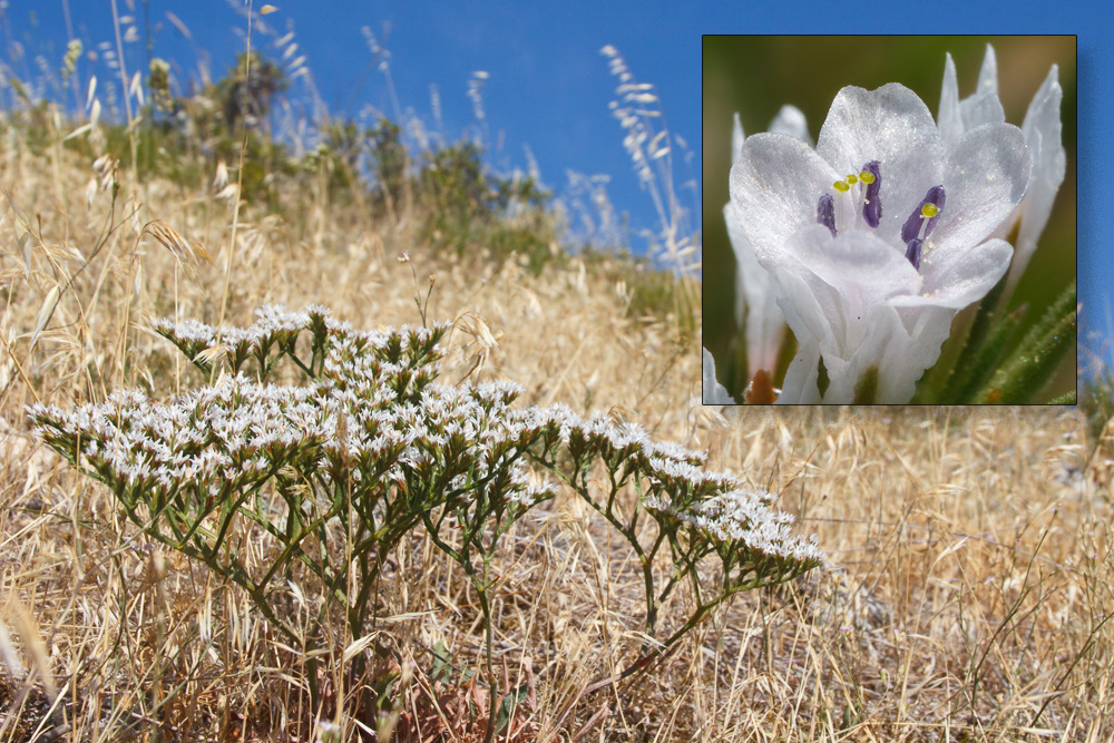 Notizie – Appennino Ecosistema